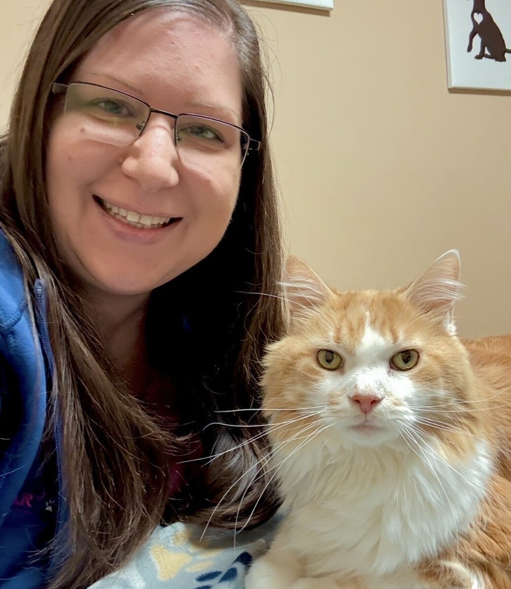 Veterinarian In Muskego, WI 53132 | Star Veterinary Centers